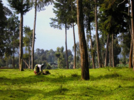 Through The Eyes Of Children: The Rwanda Project - Holocaust Museum Houston